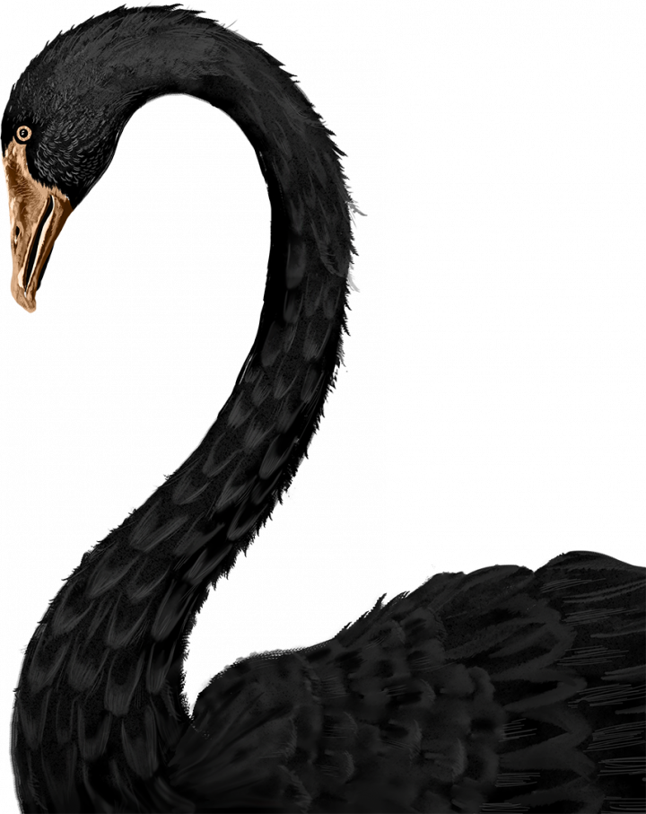 Emil Bulls | Official Website & Online Merch Shop